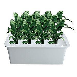 Xeternity-Made Indoor Hydroponic Grow Kit with Bubble Stone, 11 Sites (Holes) Bucket, Air Pump, Sponges - Best Indoor Herb Garden