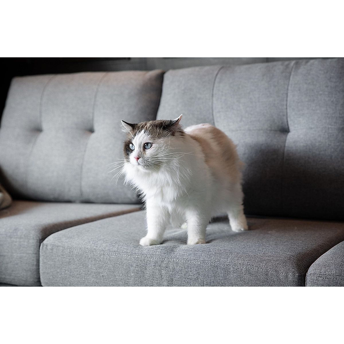 LINSY HOME Oversized Modular Sectional Sofa, RUBIK III 4 Seat Modular Sofa with Ottoman, L Shaped Corner Couch with Storage, All Covers Changeable Washable, Grey