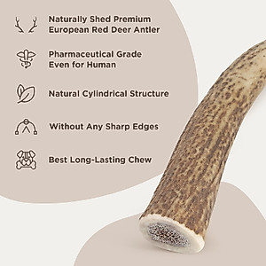 Premium Deer Antlers for Dogs – Natural Dental Chew for Aggressive Chewers – Long-Lasting Antler Chews, Odor-Free, Mess-Free, 1 Count (Jumbo)