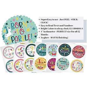 28 Pack Baby Monthly Milestone Stickers for Girls