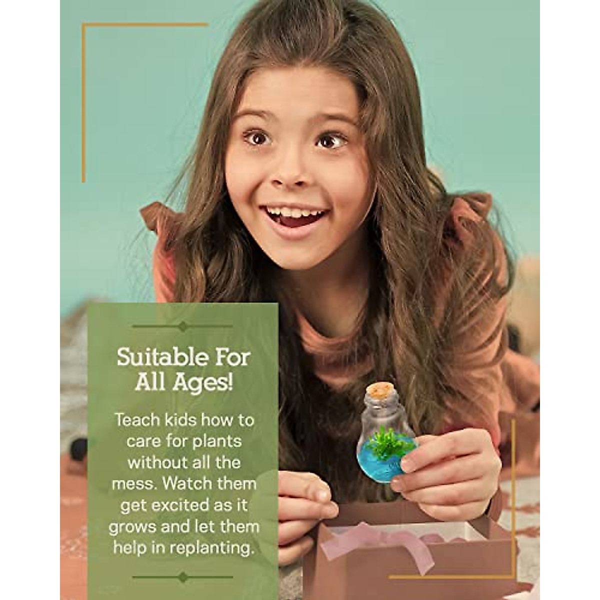 Venus Fly Trap, Grow Your Own Venus Flytrap in a 100% Self Sustaining Glass Terrarium, Maintenance Free, Easy to Grow, Healthy Growth Guarantee