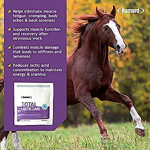 Ramard Total Lactic Care for Aging Horses, Supports Joint Function, Energy & Stamina Horse Supplies, Vitamin & Supplements w/ Branch Chain Amino Acids, 25g Pouch, 5-Pack