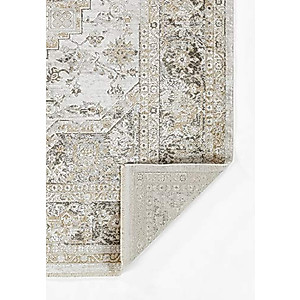 Momeni Cambridge Viscose and PES Traditional Indoor Area Rug, Taupe, 2'2" X 3'11"