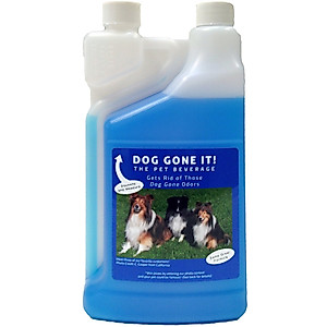 Dog Gone It - Digestive Aid