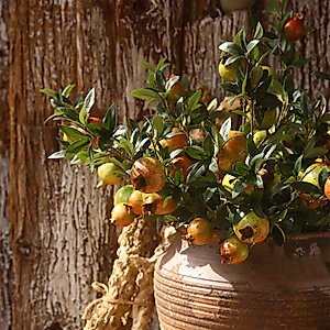 æ— 3 Pack Artificial Pomegranate Branches, 31.5 Inch Faux Rosehip Berries Flower Stem Simulation Long Stem Fruit Bouquet for Garden Home Restaurant Patio Shop Window Decor