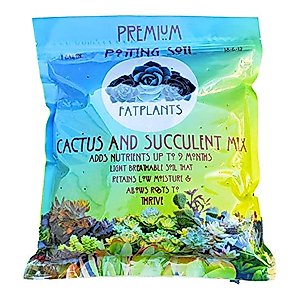 Fat Plants San Diego Premium Cacti and Succulent Potting Mix Soil - for Cactus Palm Tree Citrus Plant Grown in Gardening Containers - Indoors & Outdoors Use - with Natural Food/Fertilizer