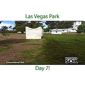 Premium Nutrient Rich Lawn Top Dressing Turf Expanding Coco Coir Mix – 10 LB Covers up to 400 sq. ft. – Grow Thicker Greener Grass in Drought Heat Conditions – Save Water, Seed, & Fertilizer