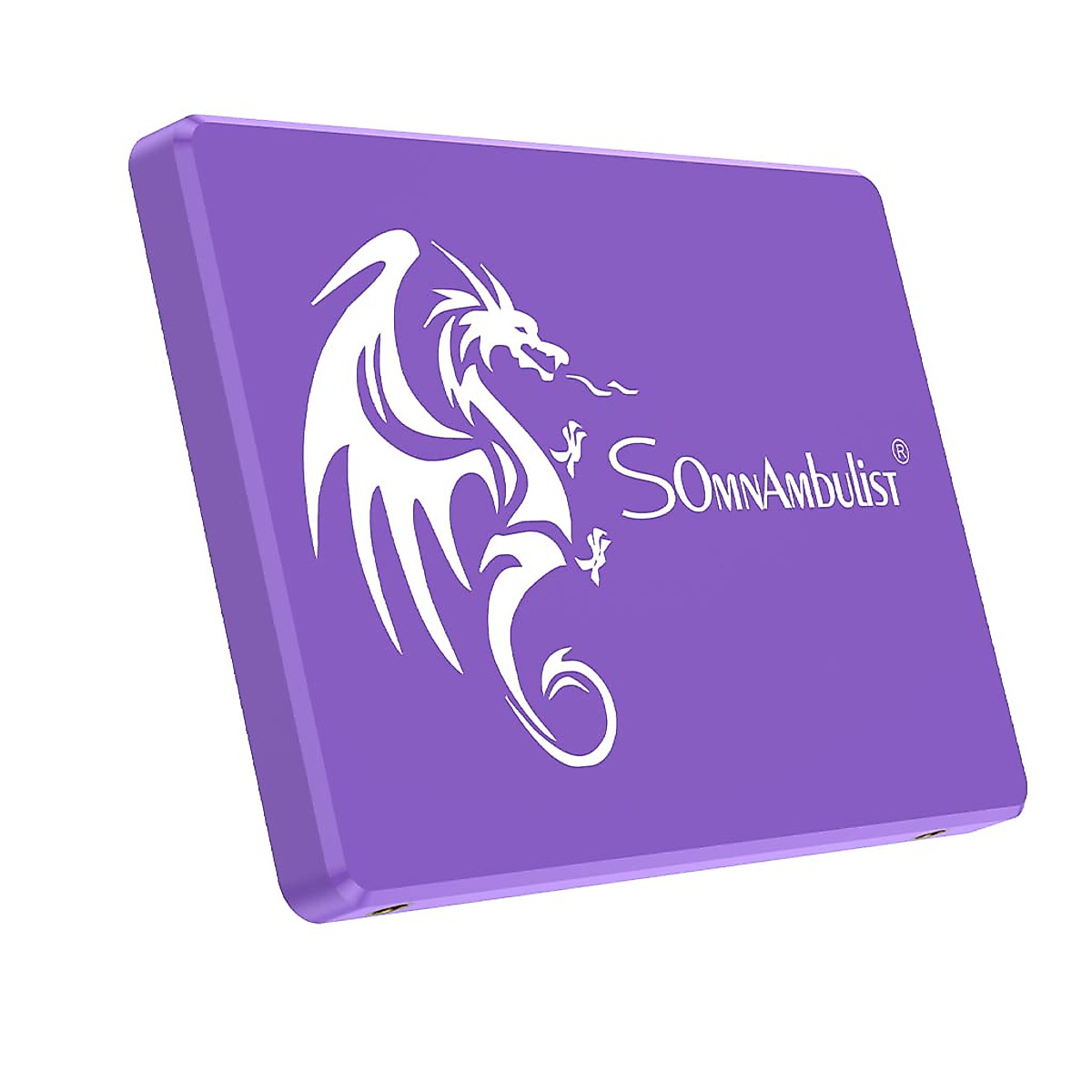 Somnambulist Internal Hard Drive SSD 60GB 120GB 240GB 960GB 2TB SATA3 2.5 inch SSD 480GB SSD (Purple Dragon 240GB)