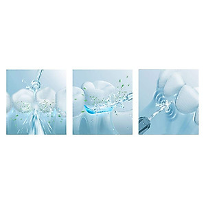 Panasonic WEW0982X503 Replacement Nozzle WEW0982X503 (Pack of 2) for EW1611 Oral Irrigator Original Accessories