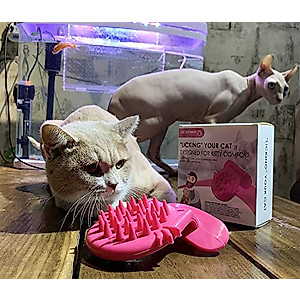 PETCYY Cat Brush Shedding Grooming, Soft Massage Cat Tongue Brush, Licking Your Cat Like a Mama Cat to Comfort, Surprise Pet Gifts