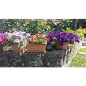 INZECTO Mosquito Trap - Device to Effectively Attract Mosquitoes and Kill Larvae - Revolutionary Outdoor Mosquito Solution Simply Activated by Water (2 Trap)