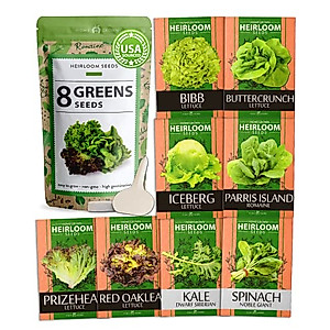 Lettuce & Salad Greens Seed Vault - 4,000+ Non-GMO Vegetable Seeds for Outdoors or Indoors - Romaine, Iceberg Lettuce Seeds for Planting, Kale Spinach & More: Hydroponic Home Garden Seeds (8 Variety)