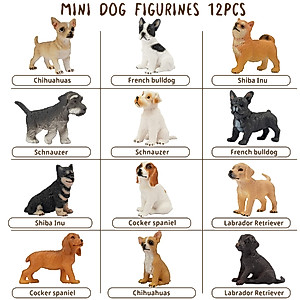 Toymany 12PCS Mini Dog Figurines Toy Set, Realistic Detailed Plastic Puppy Figures Playset, Hand Painted Dogs Animals Toy, Cake Toppers Easter Eggs Christmas Birthday Gift for Kids Toddlers
