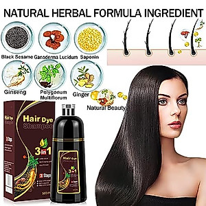 Hair Dye Shampoo 3 IN 1-100% Grey Coverage - Instant Black Hair Dye, Herbal Permanent Hair Color Shampoo for Women & Men Hair Dye Coloring in Minutes(500mL,17.6 Fl Oz) (Chestnut Brown)