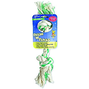Petmate Aspen/Booda Corporation DBX52302 Fresh and Floss 2-Knot Spearmint Toy for Pets, Medium