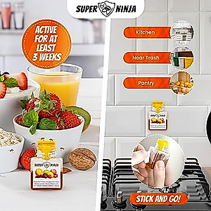 Super Ninja Fruit Fly Traps for Indoors - Highly Effective Ecological Fruit Fly Trap - Environmentally Responsible Fruit Fly Killer - User Friendly - Up to 3 Weeks per Trap (4 Traps)