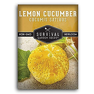 1 Pack Lemon Cucumber Seed for Planting - Packet with Instructions to Grow Little Yellow Cucumbers in Your Home Vegetable Garden - Non-GMO Heirloom Variety - Survival Garden Seeds