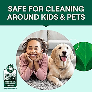 Seventh Generation Toilet Bowl Cleaner Fresh Mint scent 4 Pack Without Chlorine Bleach Ammonia Free 24 oz