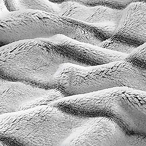 HOMEIDEAS Fleece Flannel Printed Blanket Twin Size, 61X80 Inches Soft Lightweight Microfiber Throw Blanket for Couch/Sofa/Bed for All Season,Leopard/Cheetah, Grey