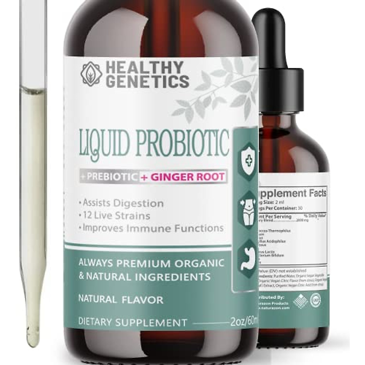 Liquid Probiotics for Women Men & Kids | Prebiotic +Ginger + Probiotics for Digestive Health | Acidophilus Probiotic | Dairy Free | Vegan | Non-GMO | Gluten Free | 30 Servings
