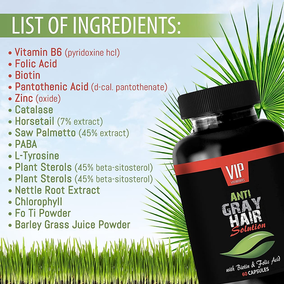 Pure Biotin for Hair Growth - Gray Hair Solution - Anti Gray Hair Women, Saw Palmetto for Women Hair Loss, biotin Vitamins for Hair Skin and Nails, paba Supplement, Gray Hair Pills, 3 B 180 Caps