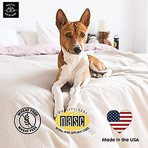 Probiotics for Dogs - Dog Probiotic and Digestive Enzymes - 120 Soft Chews for Digestion Support - Vet Strength Pet Supplement - Made in USA