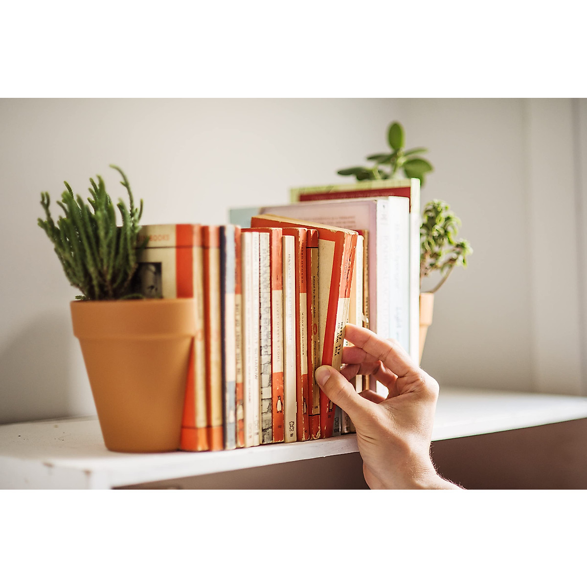 Suck UK - Bookends | Plant Pot Book Ends | 2 Decorative Book Ends for Shelves | Holder & Indoor Plant Office Accessories | Flower Pot Set for Plants | Aesthetic Home Decor & Gifts Her