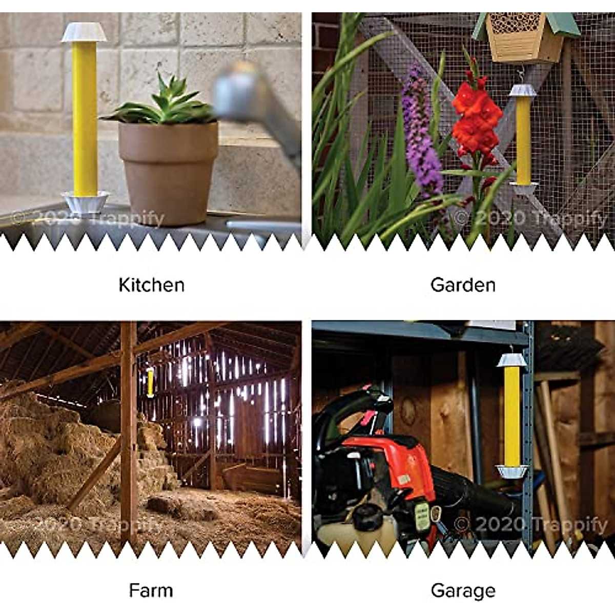 Trappify Hanging Fly Traps Outdoor: Fruit Fly Traps for Indoors | Fly Catcher, Gnat, Mosquito, & Flying Insect Catchers for Inside Home - Disposable Sticky Fly Trap for Indoor House Pest Control (2)