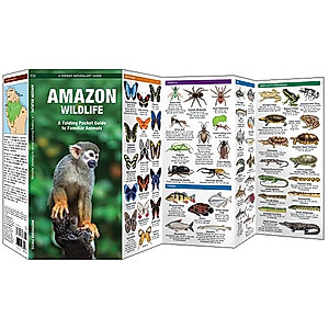 Amazon Wildlife: A Folding Pocket Guide to Familiar Animals (Nature Observation International)
