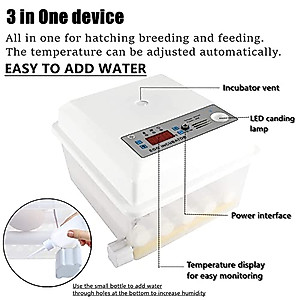 YaeCCC Egg Incubator, Automatic Egg Hatching Incubator Temperature Control for Hatching Chicken Duck Quail Bird Eggs (16 Eggs)
