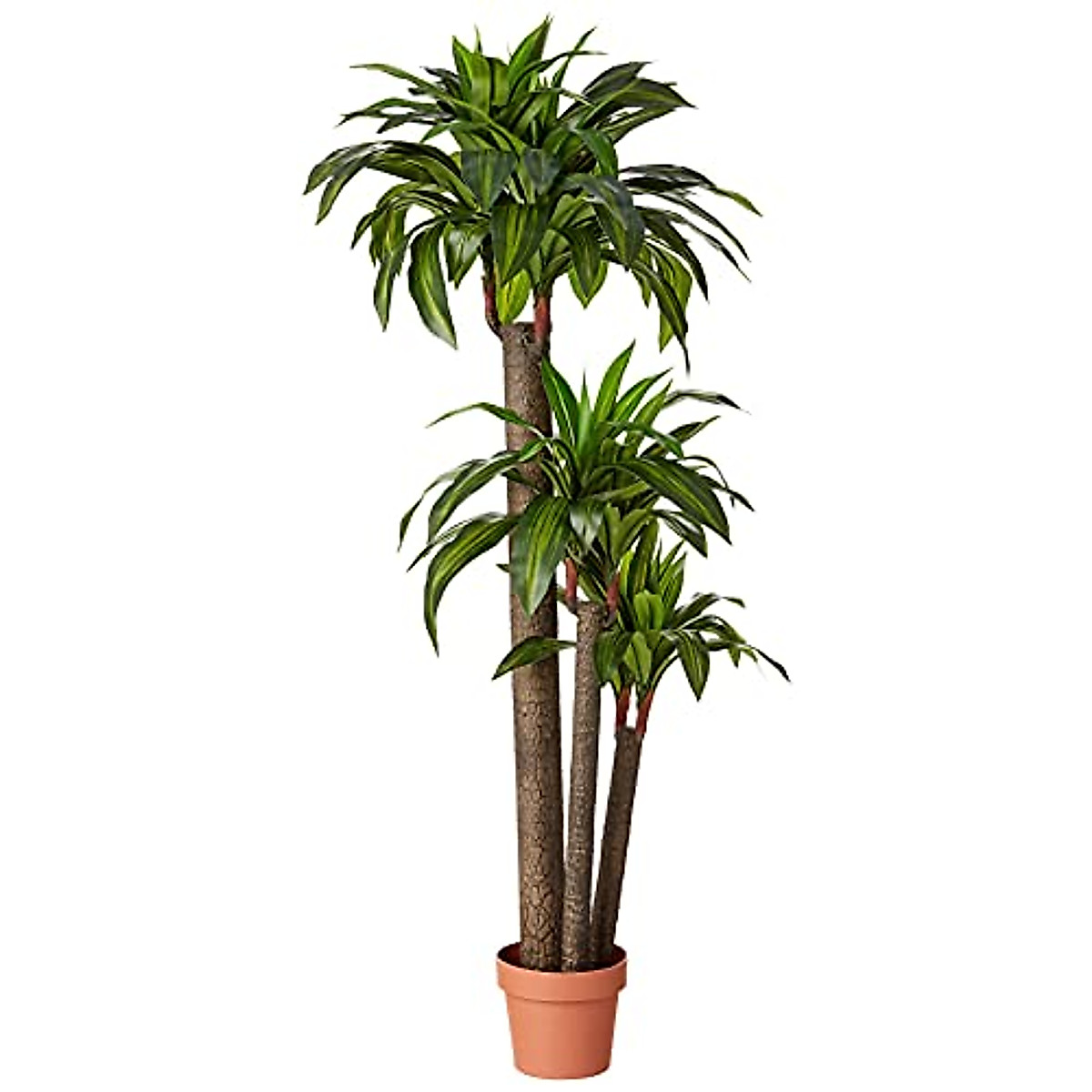 Amazon Basics Artificial Dracaena Tree with Plastic Faux Terracotta Pot, 60-Inch