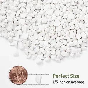 GASPRO 5 Pound Aquarium Gravel and White Pebbles, White Rocks for Plants, Vases, Natural Decorative Pebbles for Succulents, Terrarium, Cactus