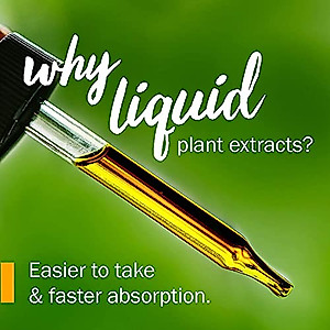 Herb Pharm Oregano Spirits Extract And Essential Oil Blend For Immune Support, 1 Ounce