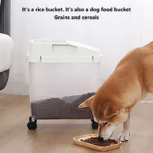 Large Capacity Food Storage Containers with 1 Measuring Cup and 4 Wheels, 20Lb Rice Container, Airtight Dry Storage Bins With Lids for Rice, Cereal, Flour, BPA Free Plastic Sealed Holder Bin Dispenser