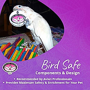 Super Bird Creations SB399 Woodpile Bird Toy, Large Bird Size, 11” x 7” x 7”