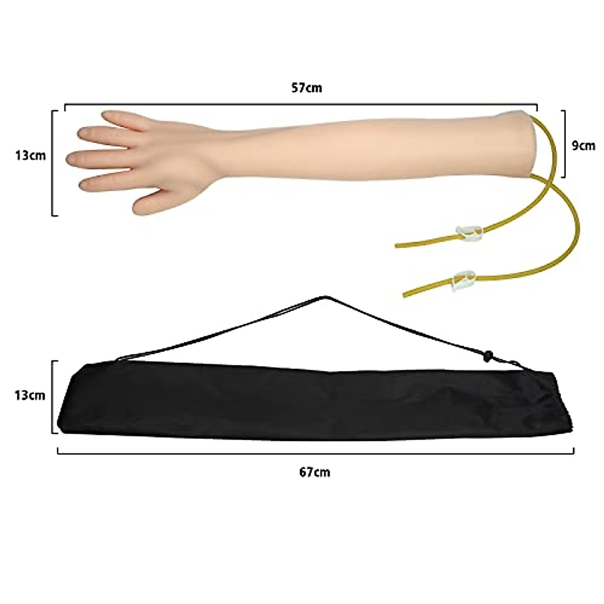 IV Practice Arm - Anatomy Lab IV Training Kit,Phlebotomy and Venipuncture Practice Arm,Model for Training and Perfecting IV/Phlebotomy/Venipuncture Procedures and Techniques