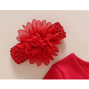 Niyage Baby Girls Clothes Dress Headband Shoes 3 Pcs Set Flowers Party Outfit Floral Dress-Red 0-3 Months