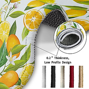 Lemon Kitchen Mats and Rugs Set of 2, Washable Absorbent Fruit Kitchen Runner Rug Carpet Leomon Kitchen Decor and Accessories Anti-Fatigue Comfort Mat for Kitchen Bathroom Laundry