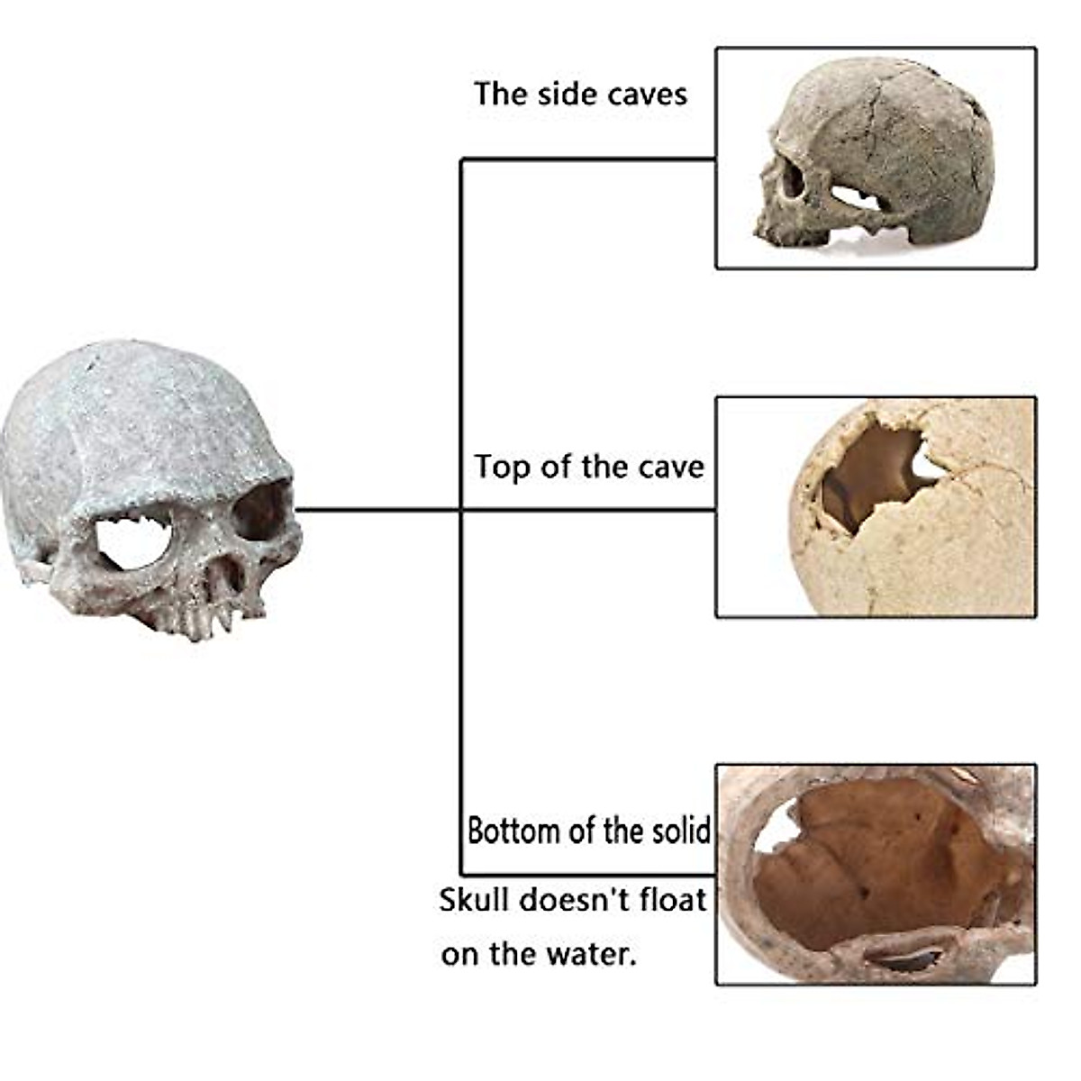 Tfwadmx Aquarium Skull Decor, Resin Fish Tank Decorations Cave Betta Fish Hiedout Reptile House for Small Fish,Shrimp