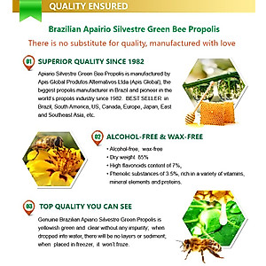 Official Distributor - 1 Bottle Apiario Silvestre Bee Pollen & Brazil Green Bee Propolis Liquid - Glycolic Extract-Non Alcoholic, Wax Free, Sugar Free