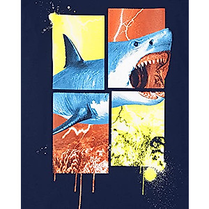 The Children's Place boys The Children's Place Long Sleeve Graphic T- 2-pack T Shirt, Dino/Shark, Small US