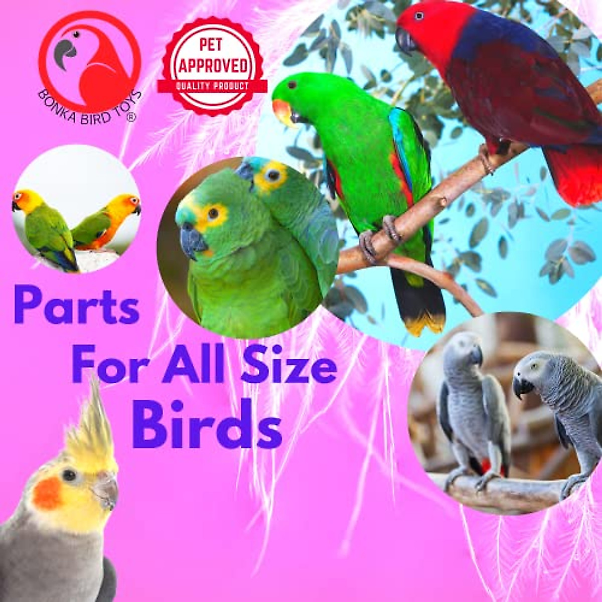 Bonka Bird Toys 3623 Pack 6 Strong Rings Foot Talon Craft Part Bird Toys Round Plastic Loop Colored Roll Circle Healthy Activities Groom