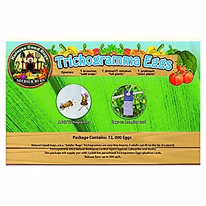 Bug Sales Trichogramma 3 Squares/ 12,000 Eggs