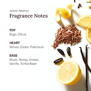 Stetson Original Aftershave by Scent Beauty - After Shave Splash for Men - Earthy and Woody Aroma with Fragrance Notes of Citrus, Patchouli, and Tonka Bean - 3.5 Fl Oz