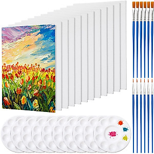 48 Pcs Canvas Painting Boards Set Including 12 Pcs 8 x 10 Inch Blank White Canvas Panels 12 Pcs Round Paint Tray Palettes and 24 Pcs Nylon Brushes for Oil Acrylic Watercolor Paint Kids Party Classroom