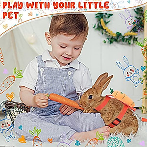 2 Pack Adjustable Rabbit Harness and Leash Bunny Harness Leash Set Harness Leash for Rabbit Kitten Puppy Pig and Small Pet Animals (Carrot, Strawberry)