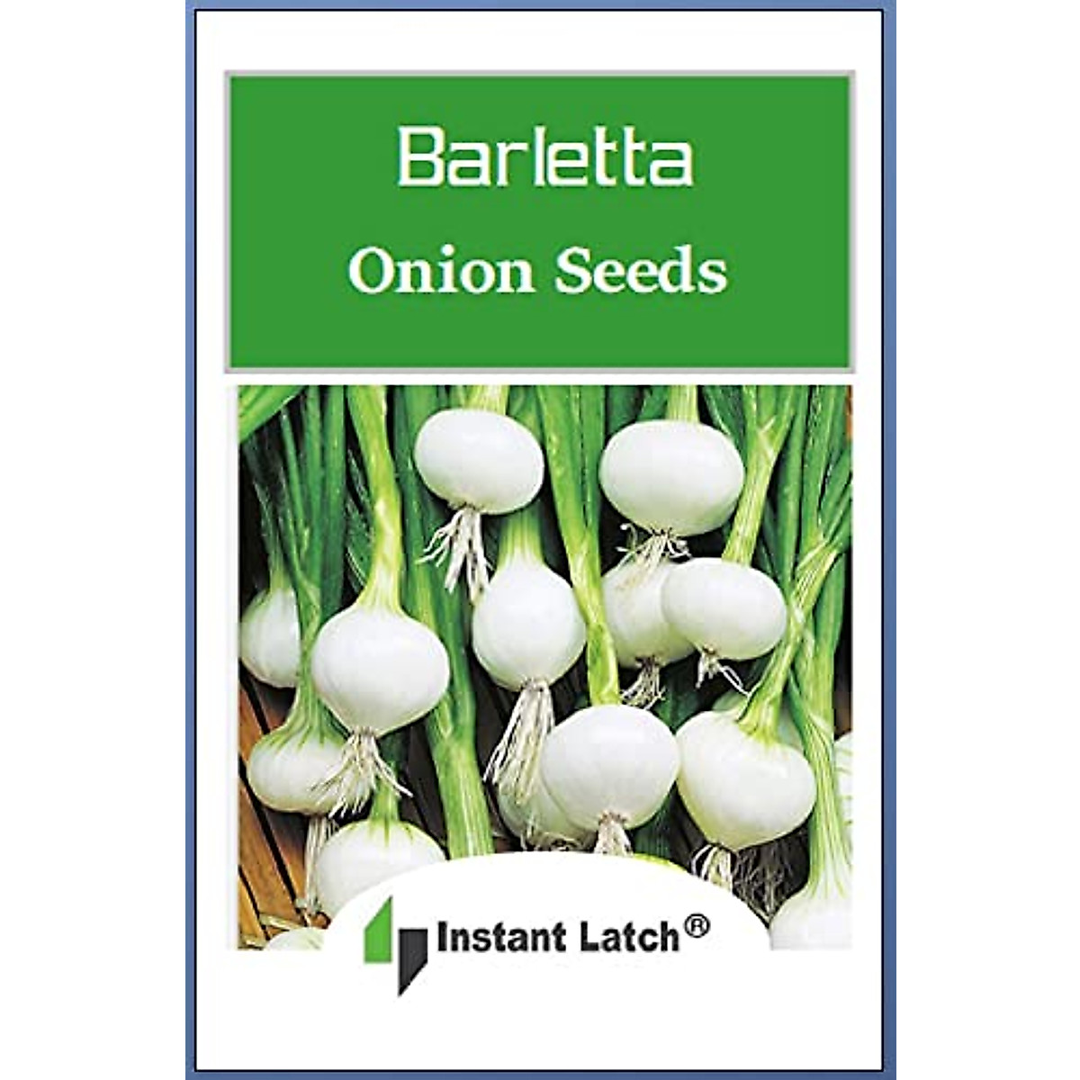 Instant Latch 250 Barletta Onion Seeds | Non-GMO | Heirloom | Fresh Garden Seeds
