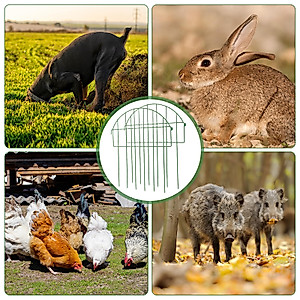 Dandat 10 Pack Decorative Garden Fence No Digging Fencing 17 x 13 Inch Animal Barrier Fence Rustproof Metal Wire Panel Border for Dog Rabbit Ground Stakes Defense and Outdoor Patio Yard, Arched, Green