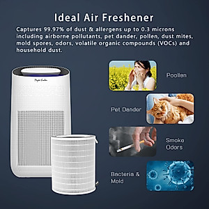 Hepa Filter Replacement for Taylor Swoden Air Purifier B08887JNHC Model 330600IBB