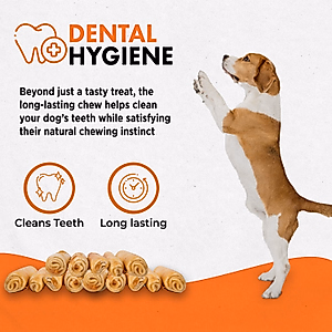 Canine Naturals Chicken Recipe Chew - Rawhide Free Dog Treats - Made from USA Raised Chicken - All-Natural and Easily Digestible - XL (2 Count) for Dogs 75lb+